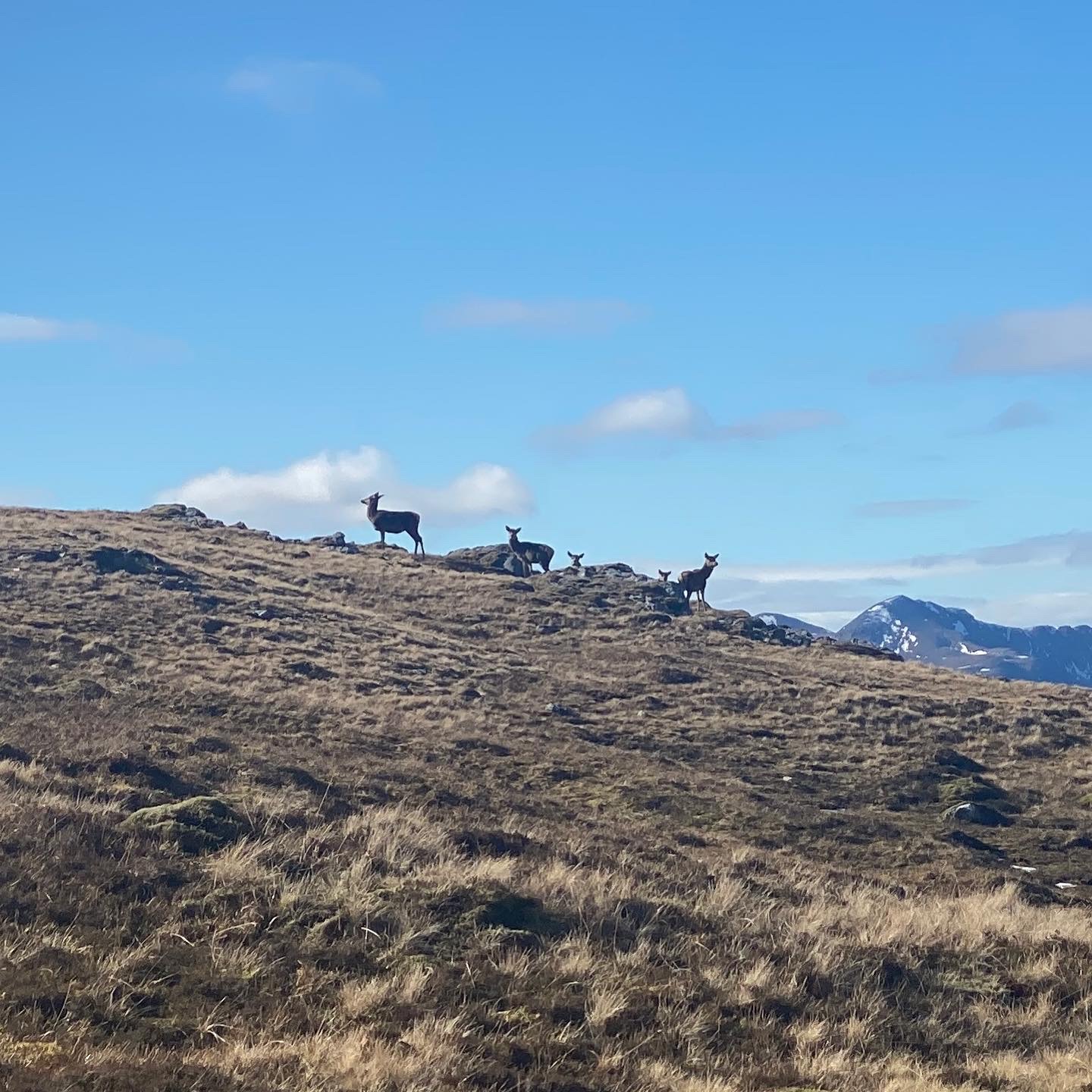 Corbett bagging: Breabag, via the Bone Caves of Assynt – FionaOutdoors