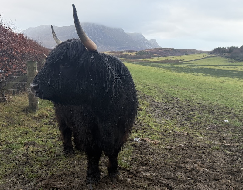 Corbett bagging: Ben Loyal (An Caisteal) – FionaOutdoors